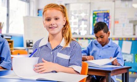 New Zealand School types explained | Cluey Learning